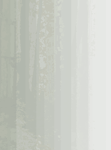 Russian Digital EMR Camo Uniform | ACU Combat Suit | WHCSJ Custom Supplier